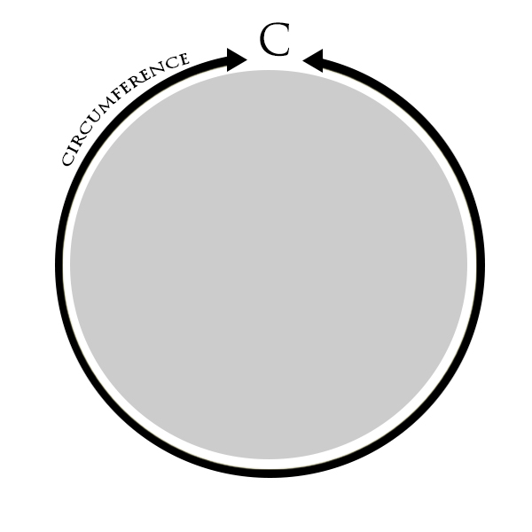 Measurements Are Required - Venus for Men by SybianVenus for Men by Sybian