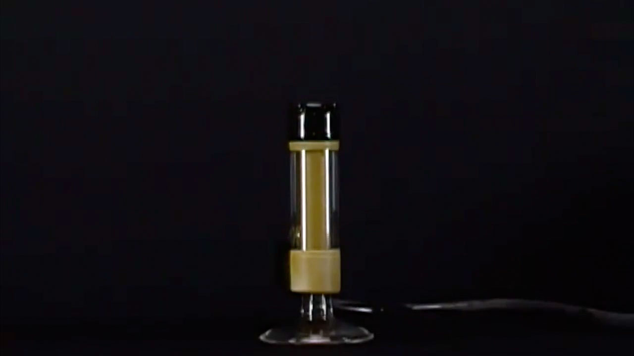 Venus VideosVenus for Men by Sybian